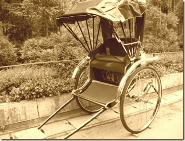 The Empathic Pediatrician: The Human Rickshaw